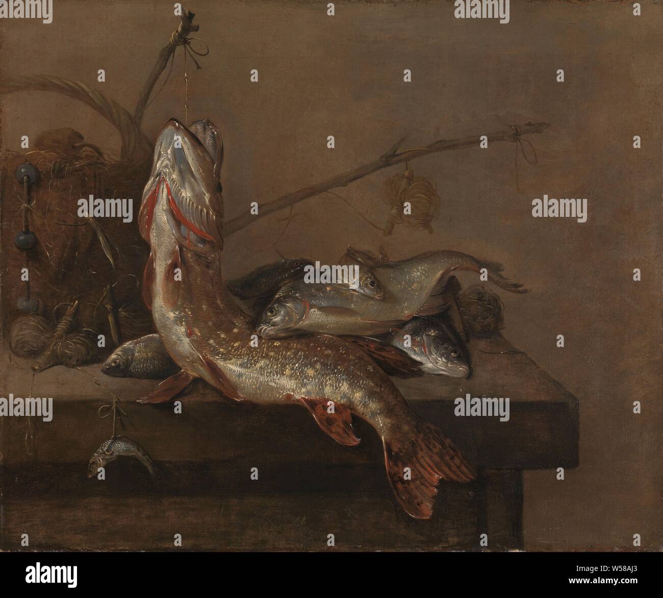 Still life with fish, Fish still life. Still life with different types ...