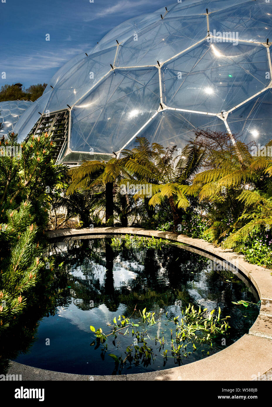 Eden project biomes greenhouse domes St Austell Cornwall Stock Photo ...