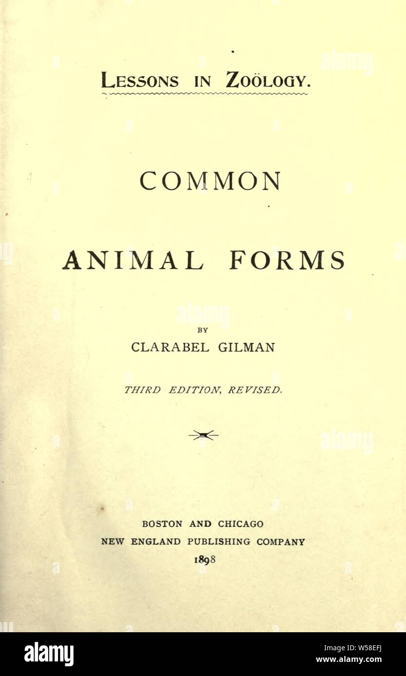 Common animal forms : Gilman, Clarabel Stock Photo - Alamy
