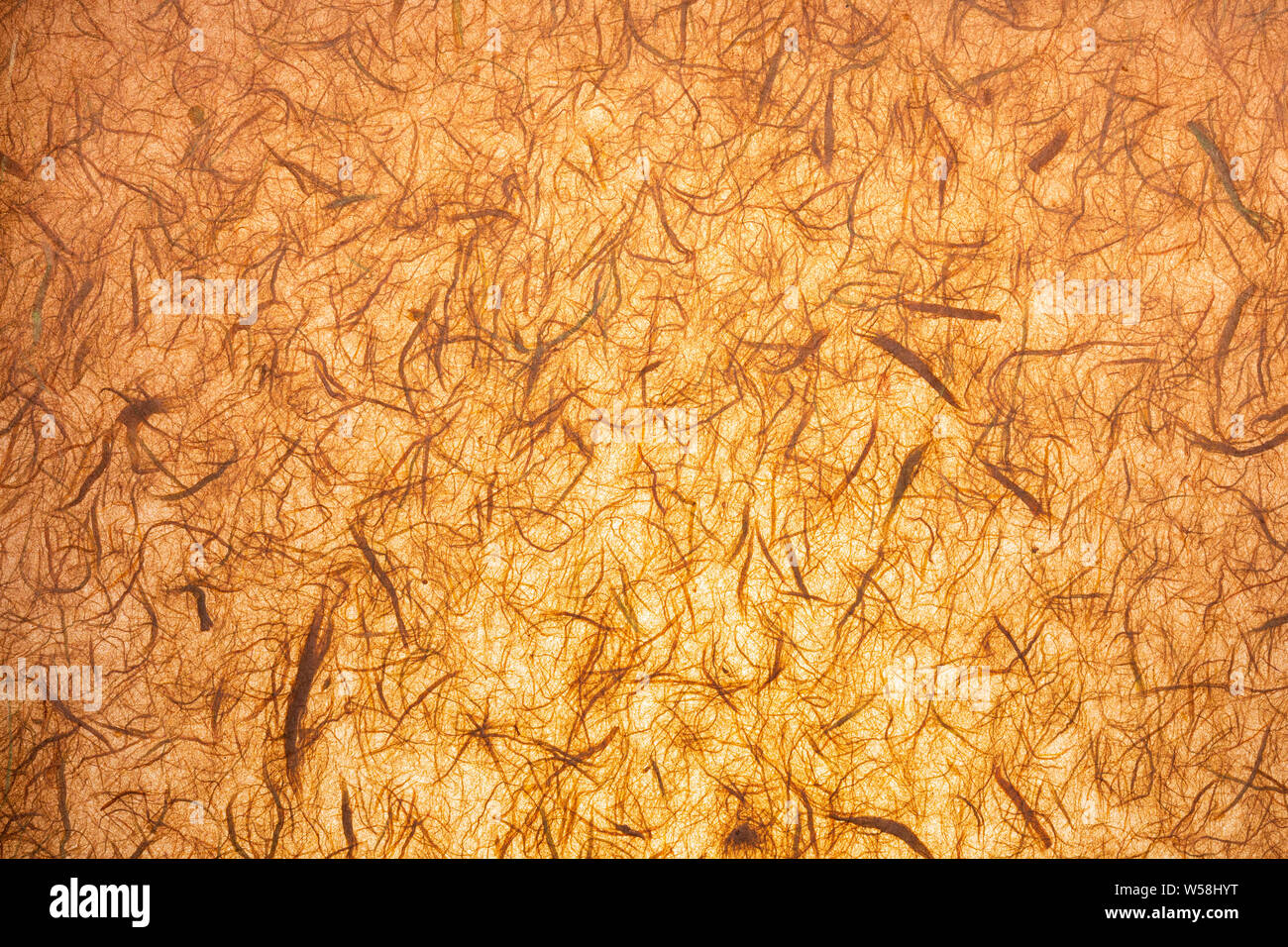 Paper texture (translucent) made by hand with visible organic fibers ...