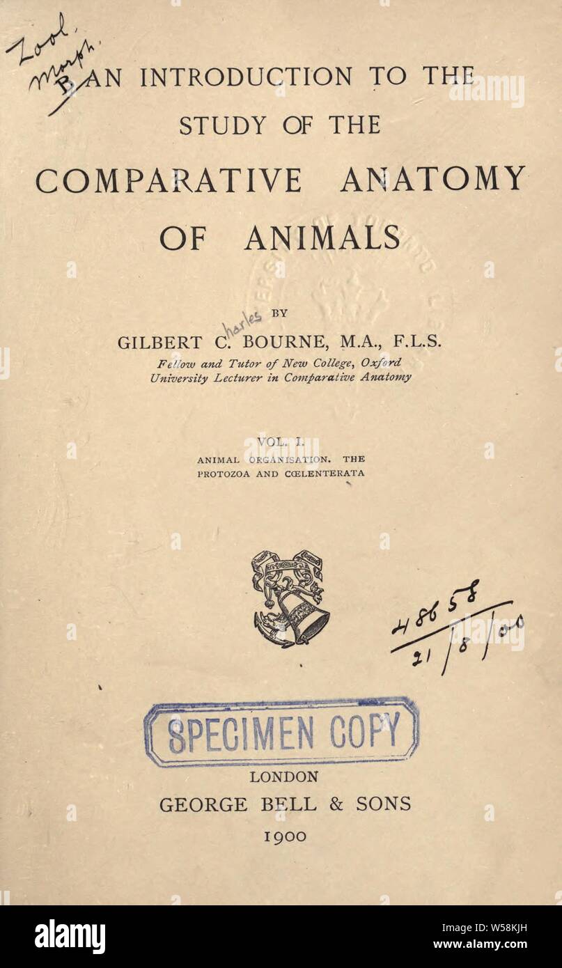 Comparative anatomy study hi-res stock photography and images - Alamy