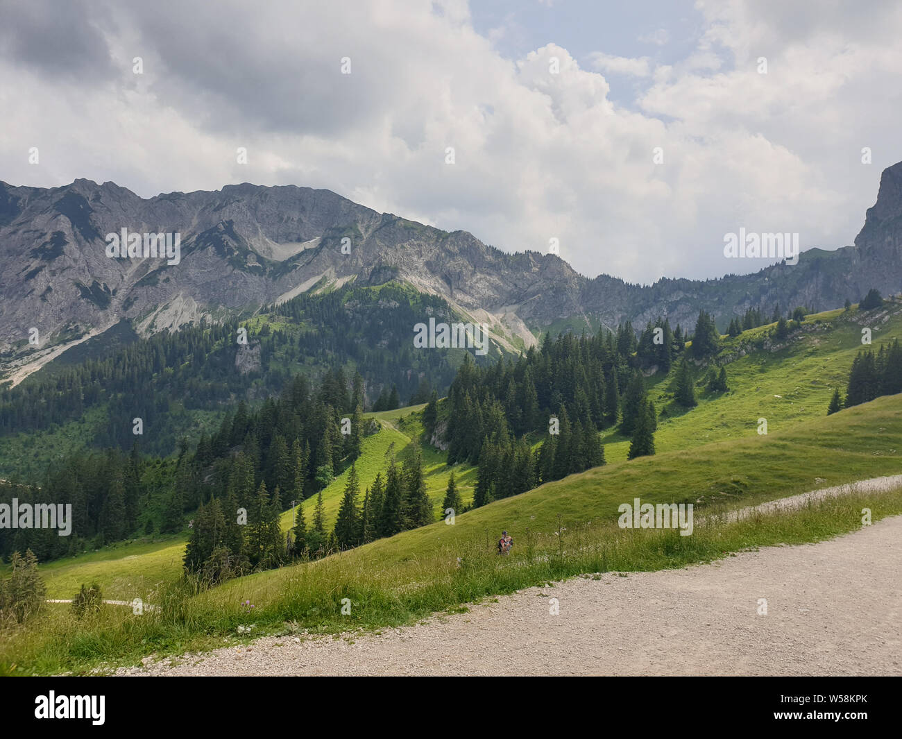 Horse in the bavarian alps hi-res stock photography and images - Alamy