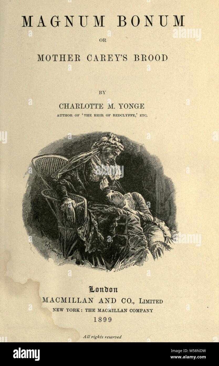 Mother careys brood hi-res stock photography and images - Alamy