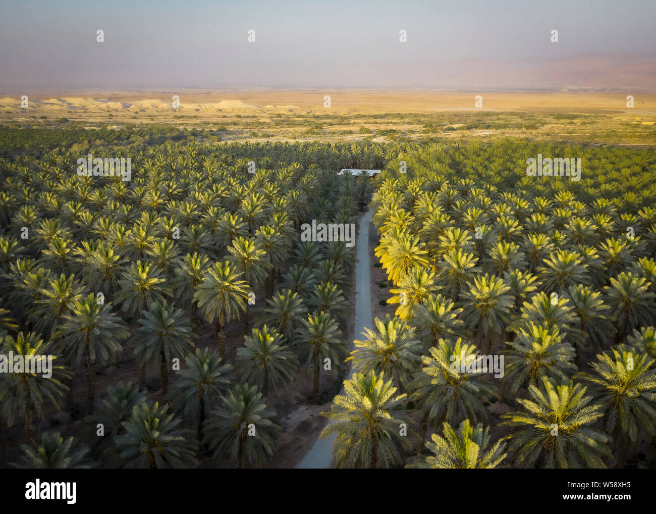 Desert road hi-res stock photography and images - Alamy