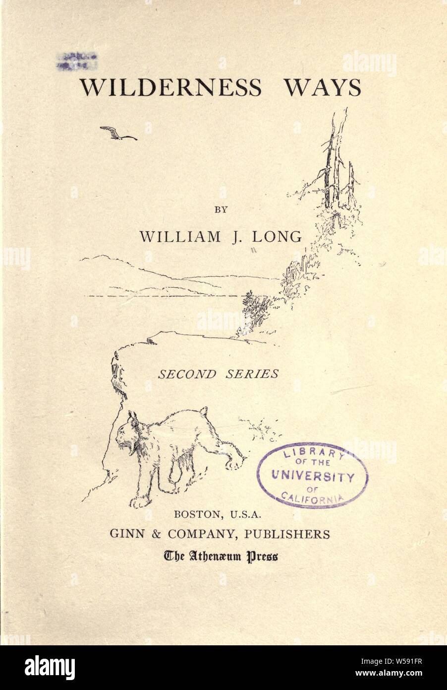 Wilderness ways; : Long, William J. (William Joseph), 1867-1952 Stock ...