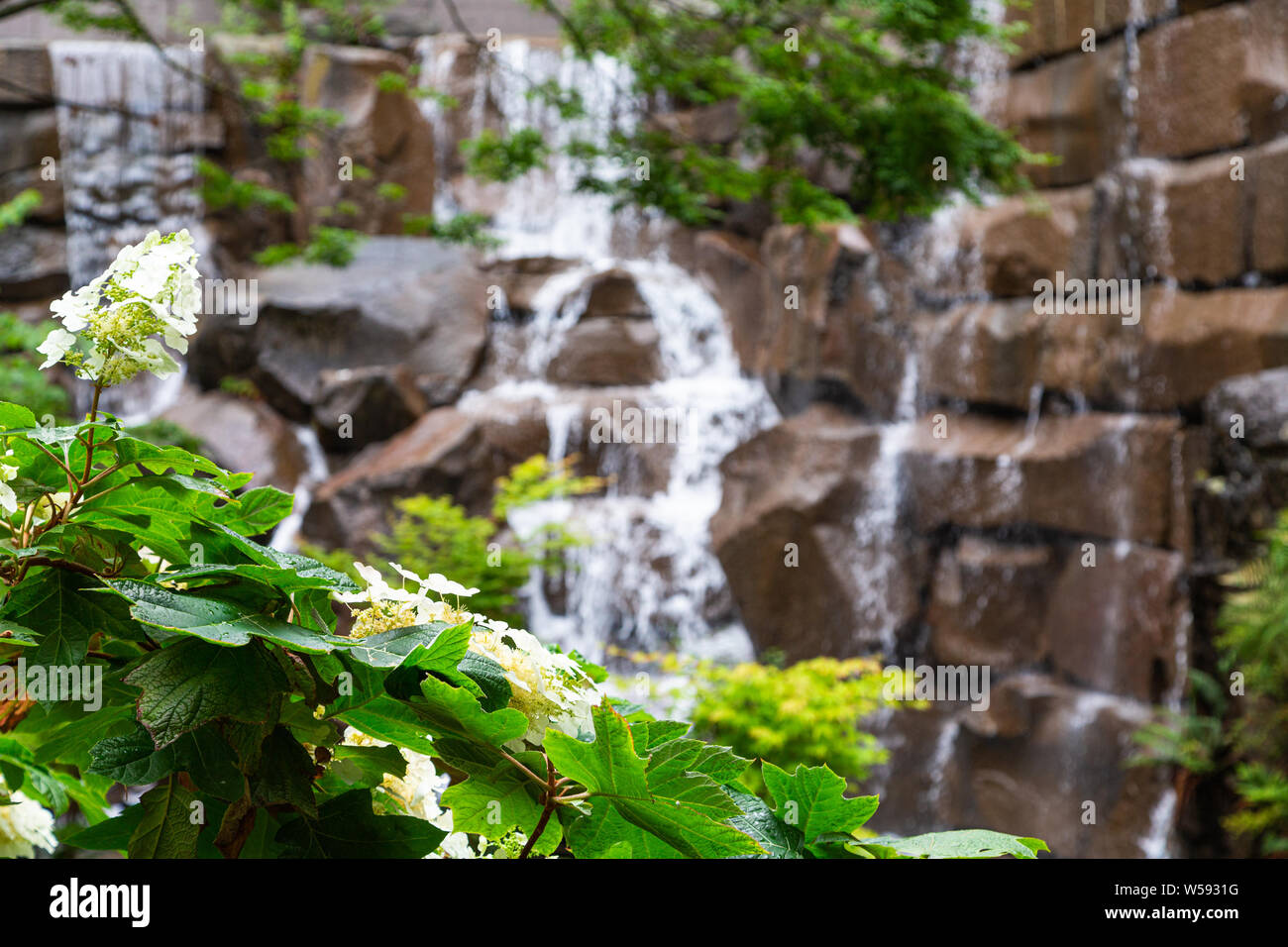 Waterfall Past Flowers Stock Photo - Alamy