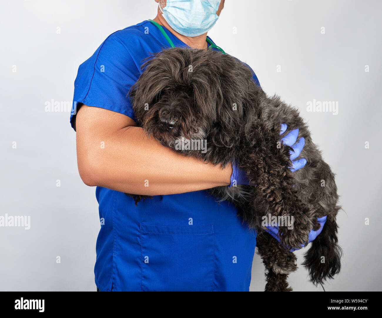 Black male vet doctor dog hi-res stock photography and images - Alamy
