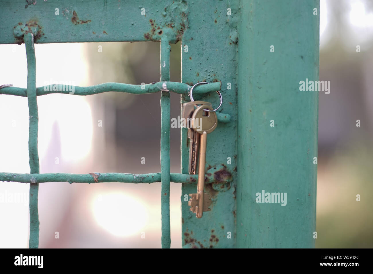 Bunch of two keys hanging on an old green iron fence Stock Photo - Alamy