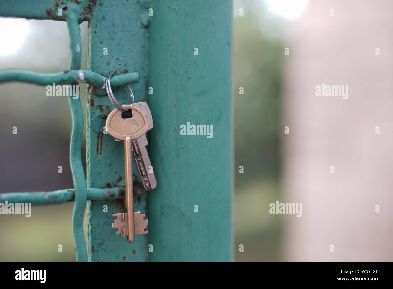 two keys hanging on an old iron fence Stock Photo - Alamy