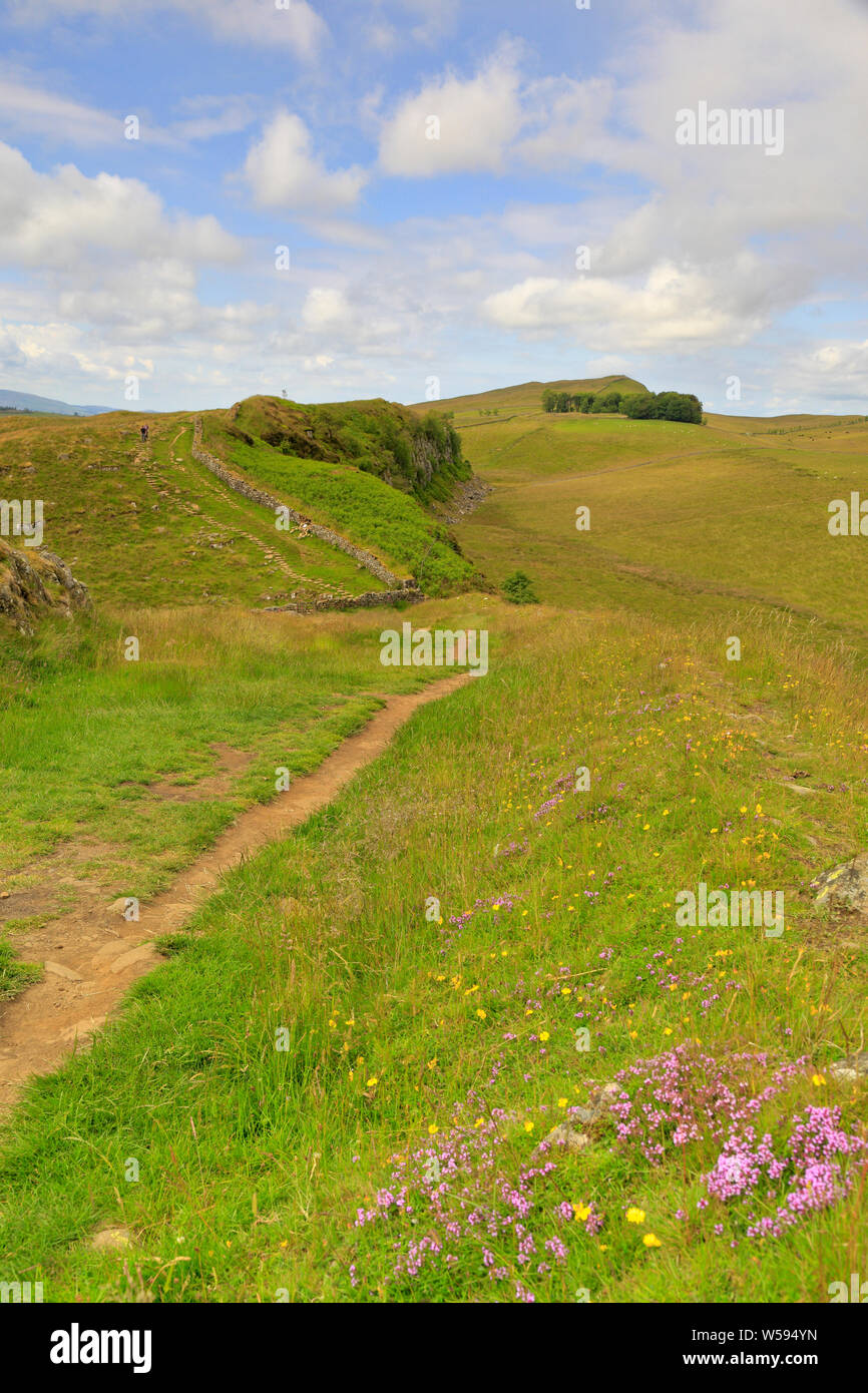 Hadrian's Wall along Peel Crags to Steel Rigg, UNESCO World Heritage ...