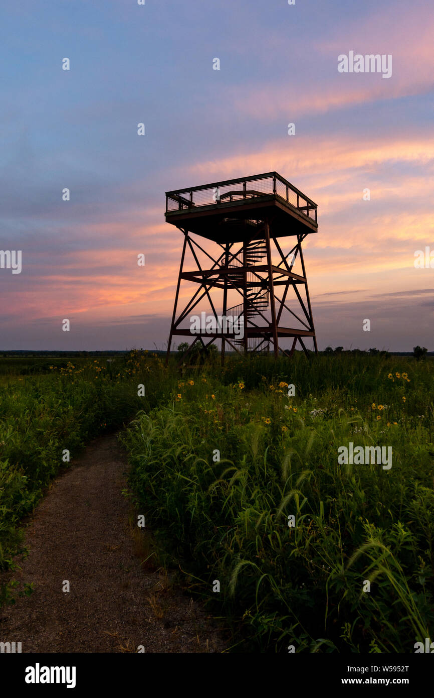 Wetlands observation platform hi-res stock photography and images - Alamy
