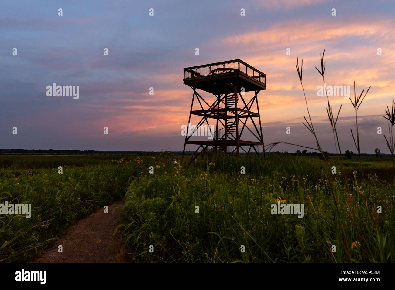 Wetlands observation platform hi-res stock photography and images - Alamy