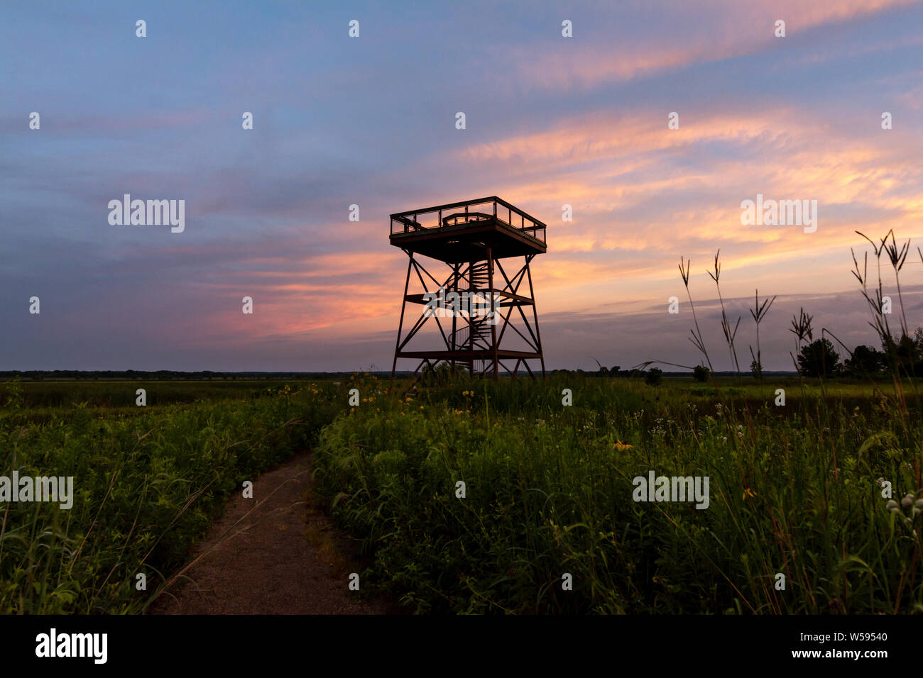 Wetlands observation platform hi-res stock photography and images - Alamy