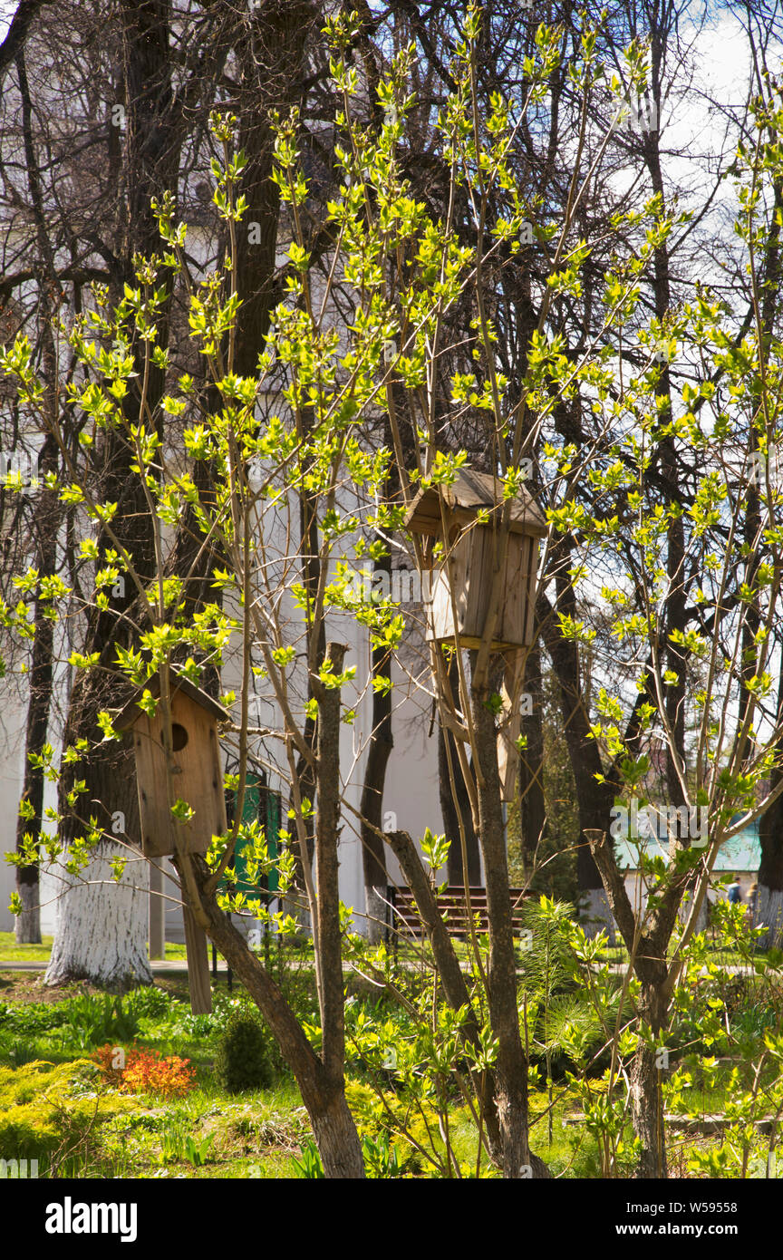 Nesting box at Holy Dormition convent (Alexandrov kremlin) in ...