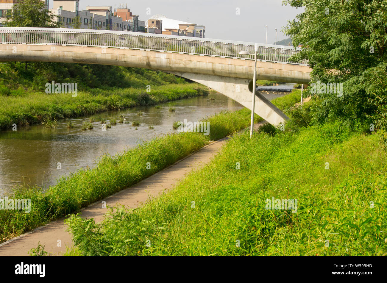 bride on the river Stock Photo - Alamy