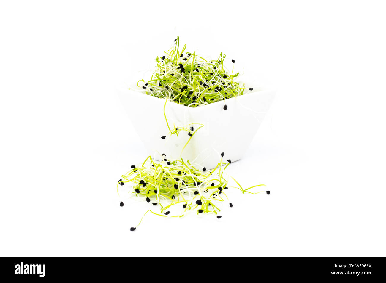 Allium seeds isolated hi-res stock photography and images - Alamy