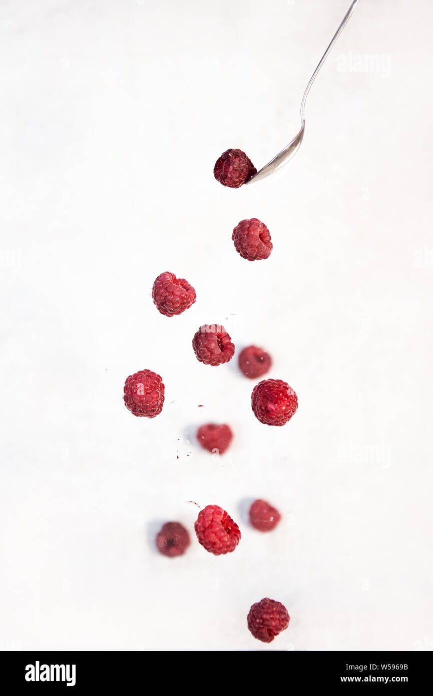 fresh red raspberries falling from a spoon isolated on white background ...