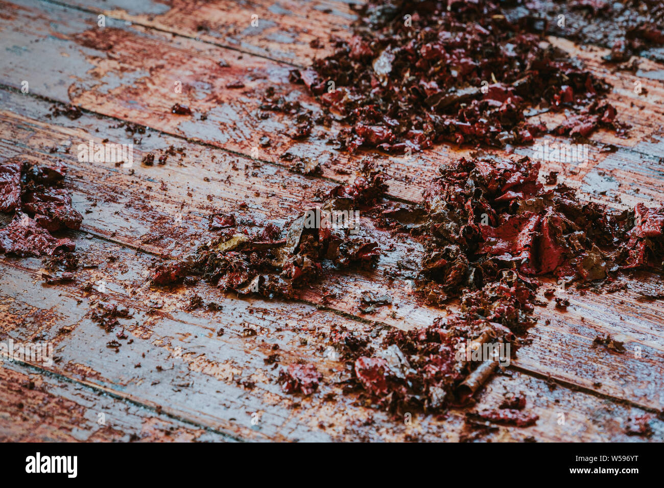 Old wooden floor with paint scraped - wooden floor renovation Stock ...