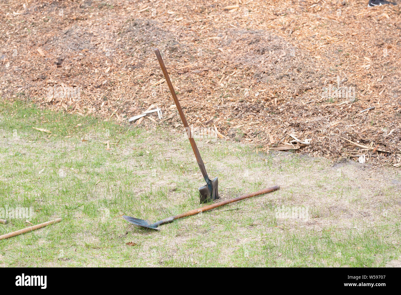 Two shovels in the grass next to some mulch in a community park Stock ...