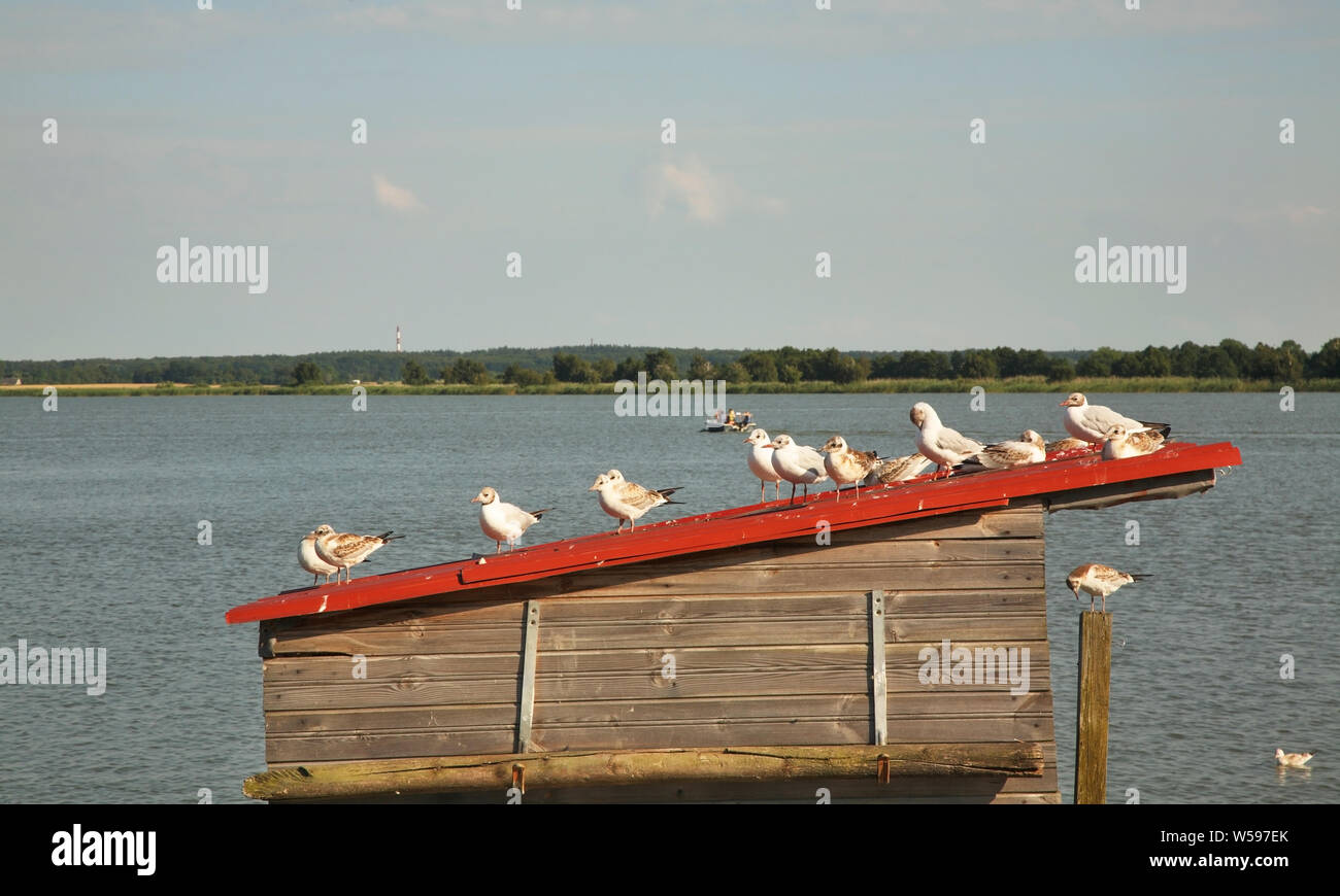 Jamno see hi-res stock photography and images - Alamy