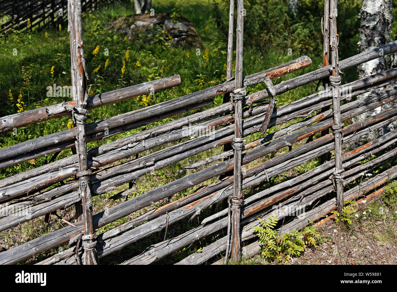 old traditional farmer fence made of birch bark and long sticks at ...