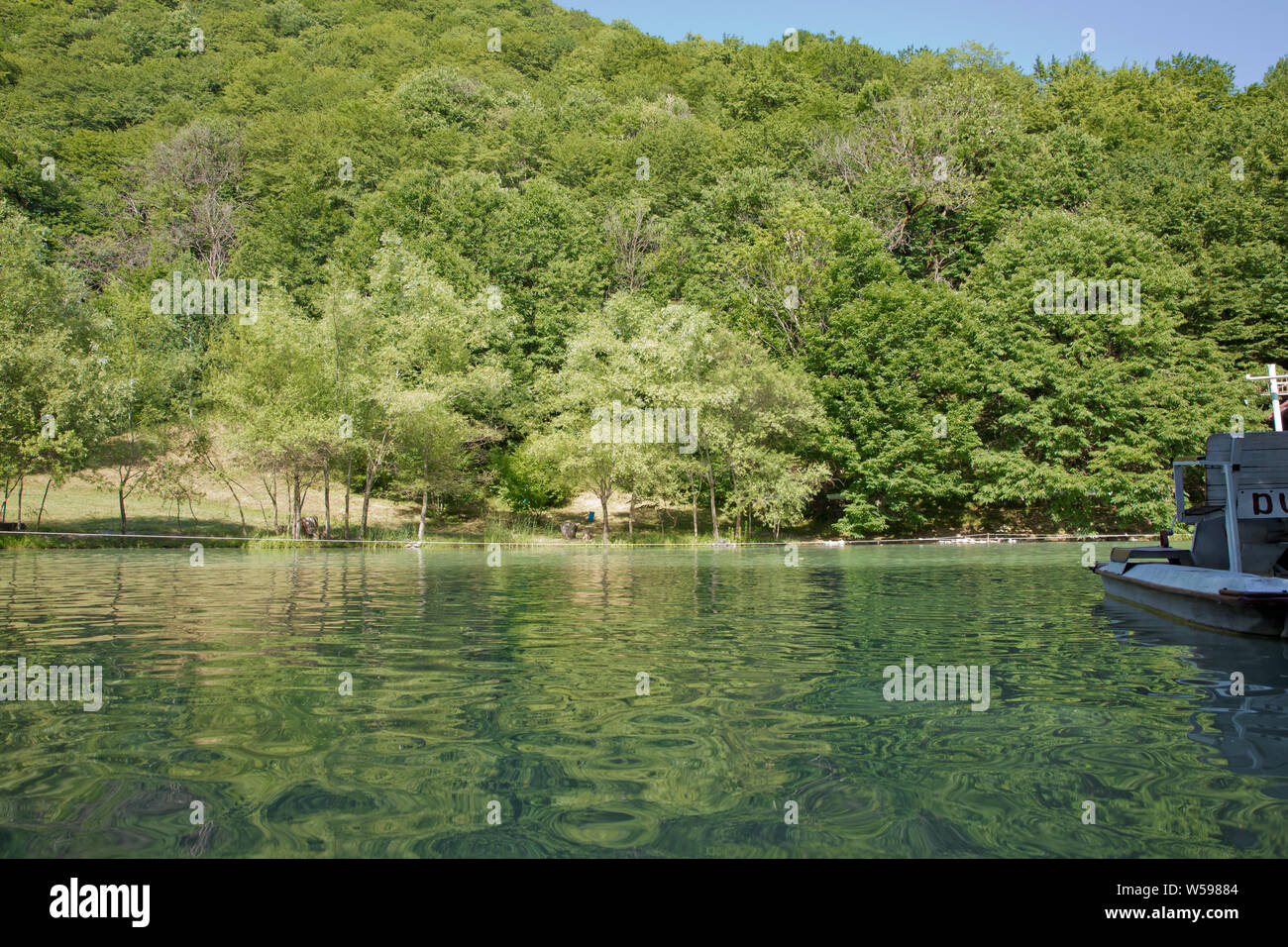 Azerbaijan Gabala . Green forest by the lake in reflection in the water ...