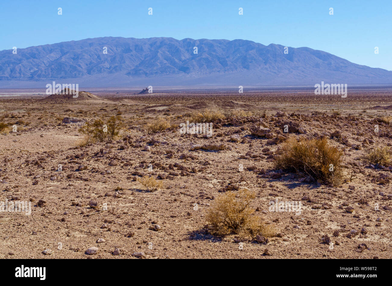 Vegetation in barren landscape hi-res stock photography and images - Alamy