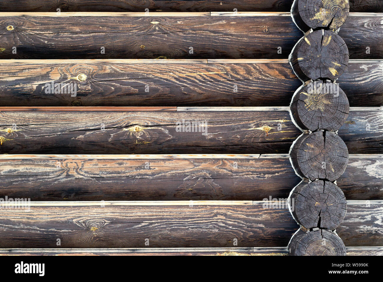 Wooden Log Background