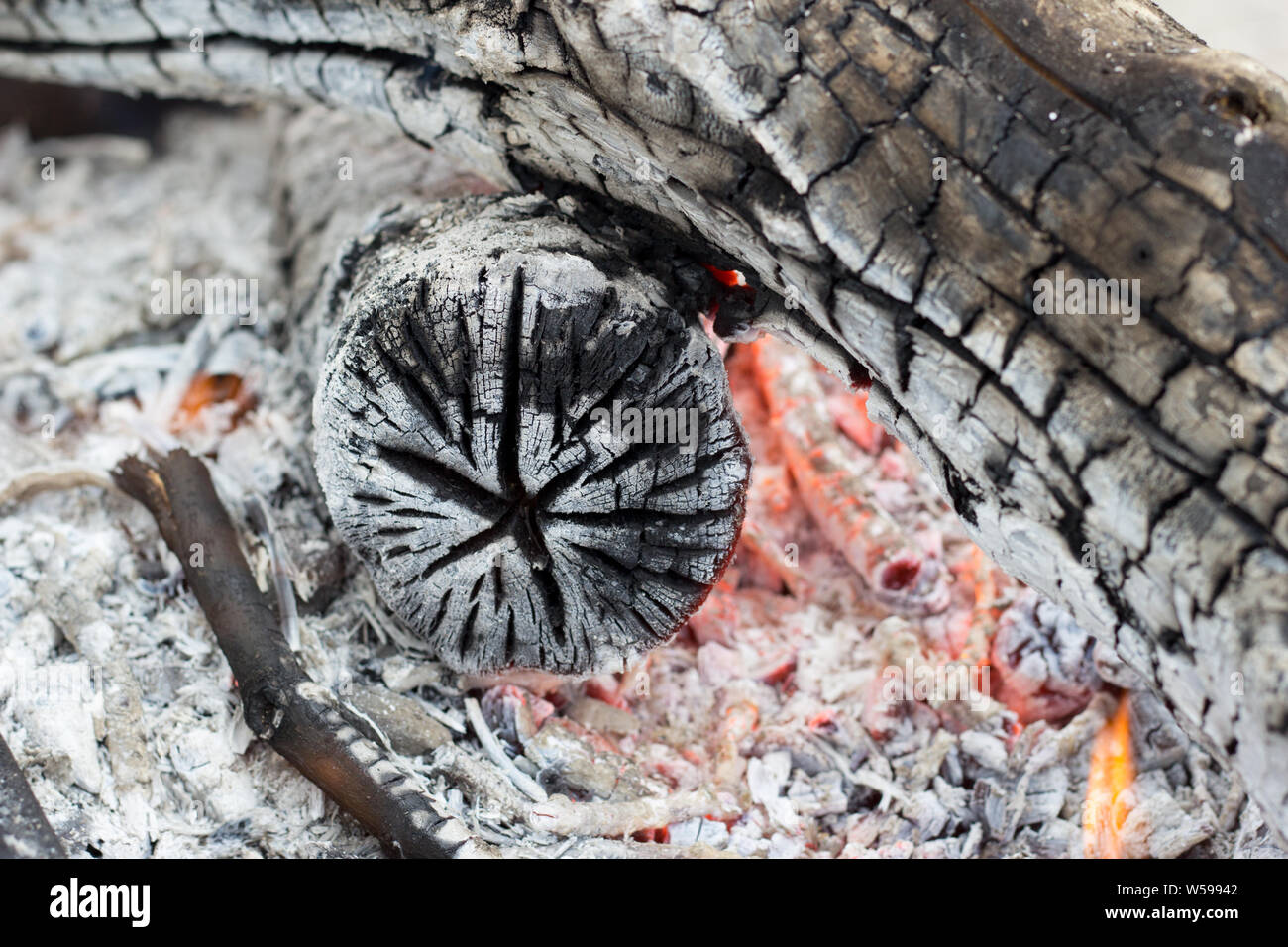 Big burning logs in camp fire. Outdoor camping concept. Close up of ...