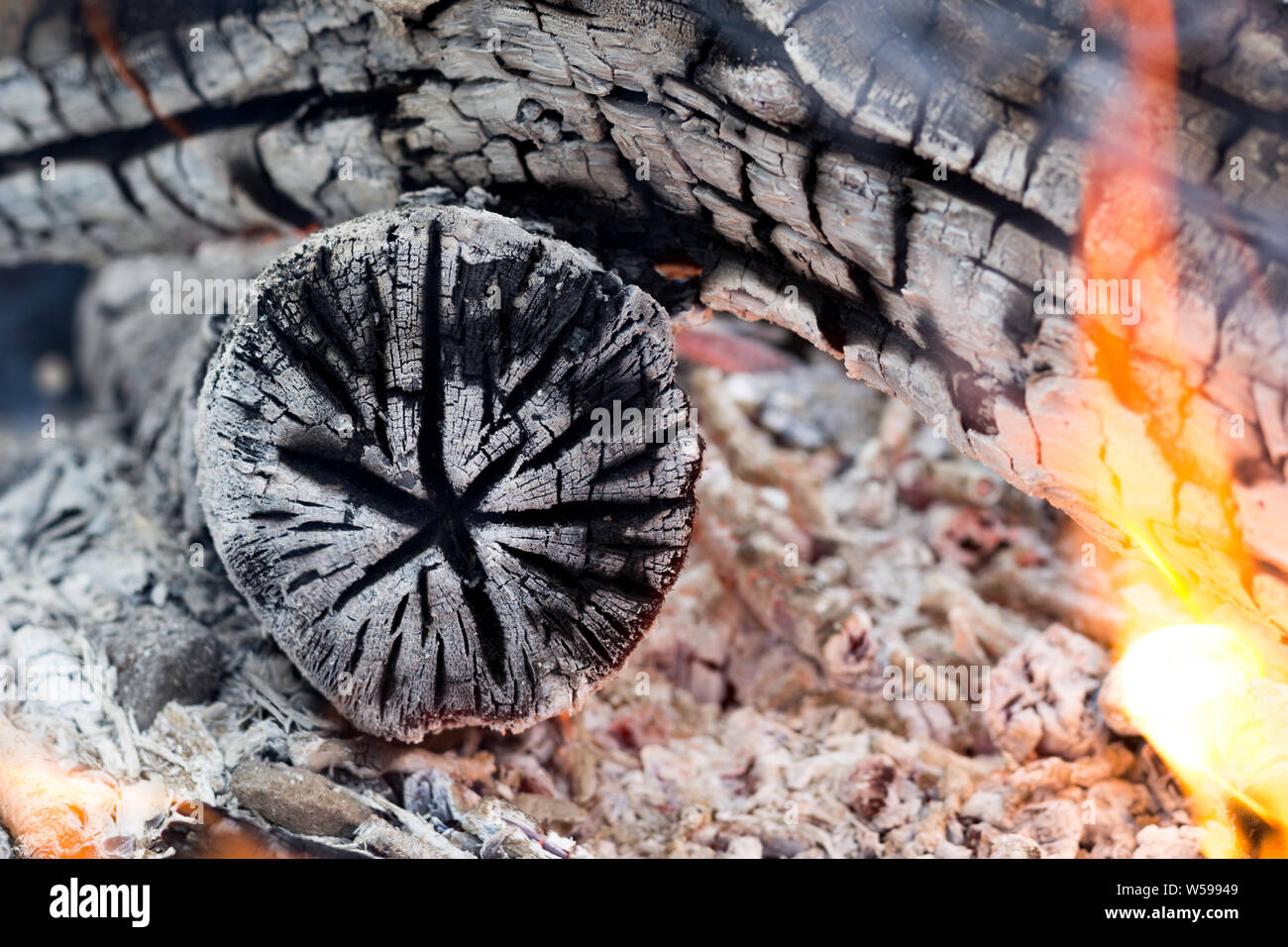 Outdoor camping concept. Big burning logs in camp fire. Close up of ...