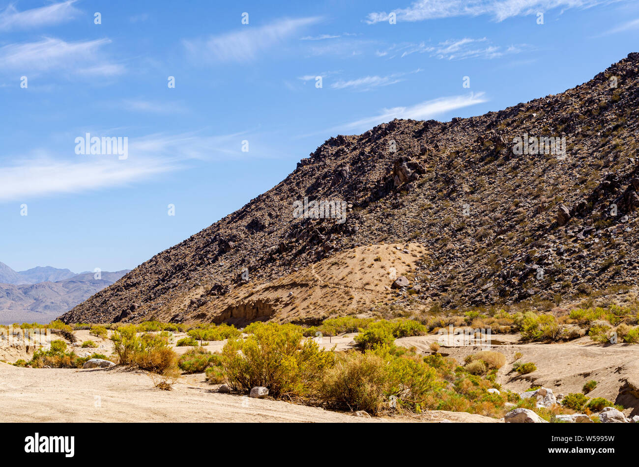 Desert landscape with sparse vegetation and rocky hillside under bright ...