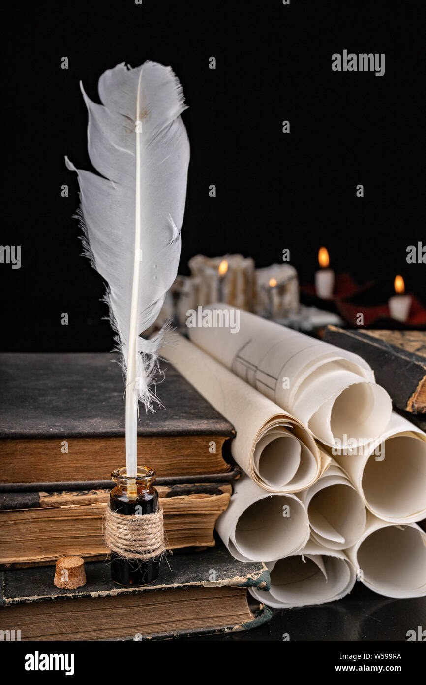 Feathers of birds for writing and calligraphy on old paper. A place for ...