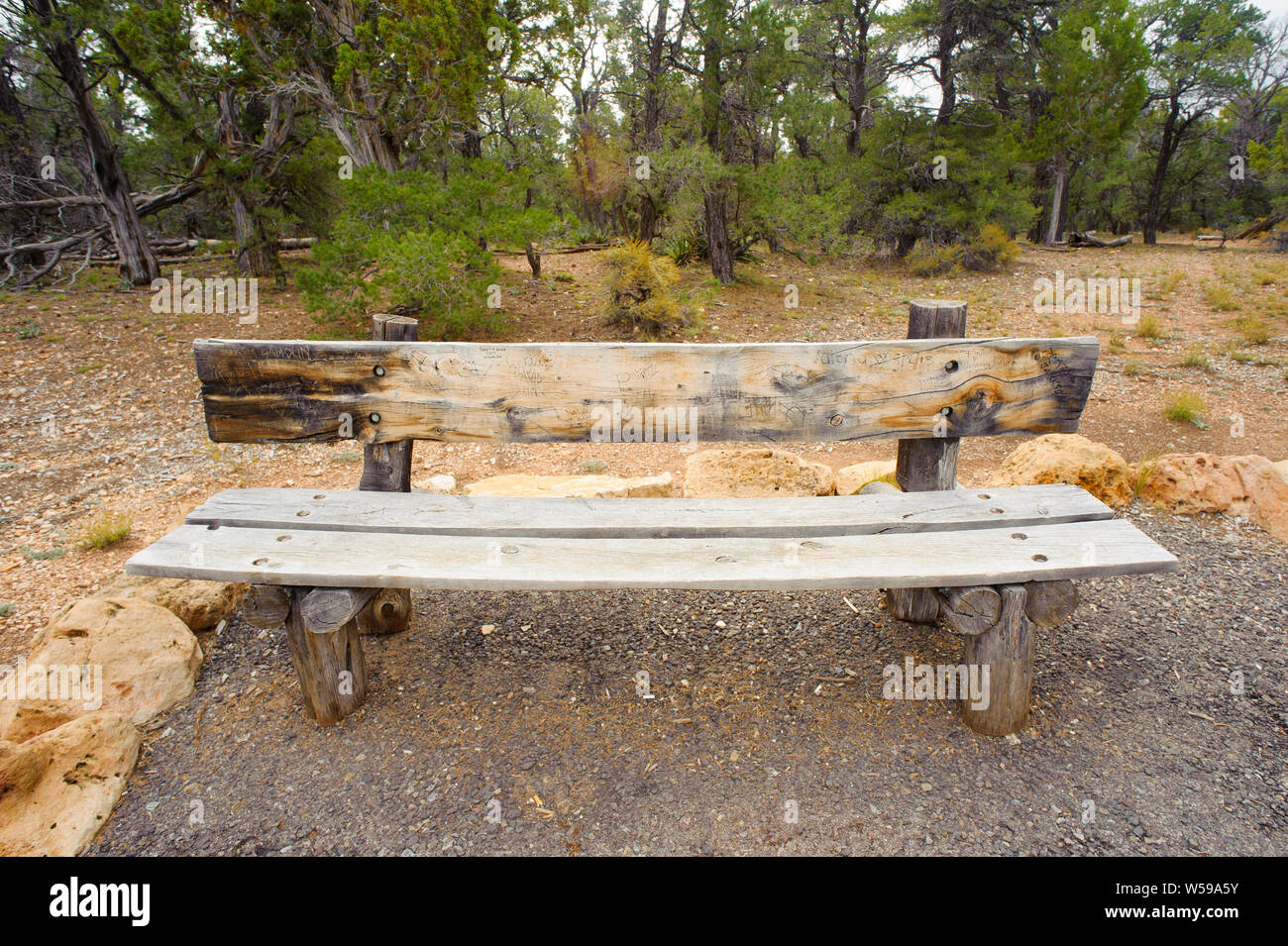 Old weathered wooden bench, marked with carved graffitis, Grand Canyon ...