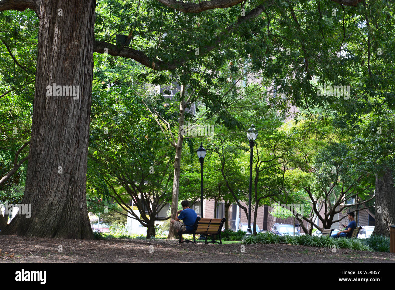 Visitors sit in the park and are on their phones at Nash Square in ...