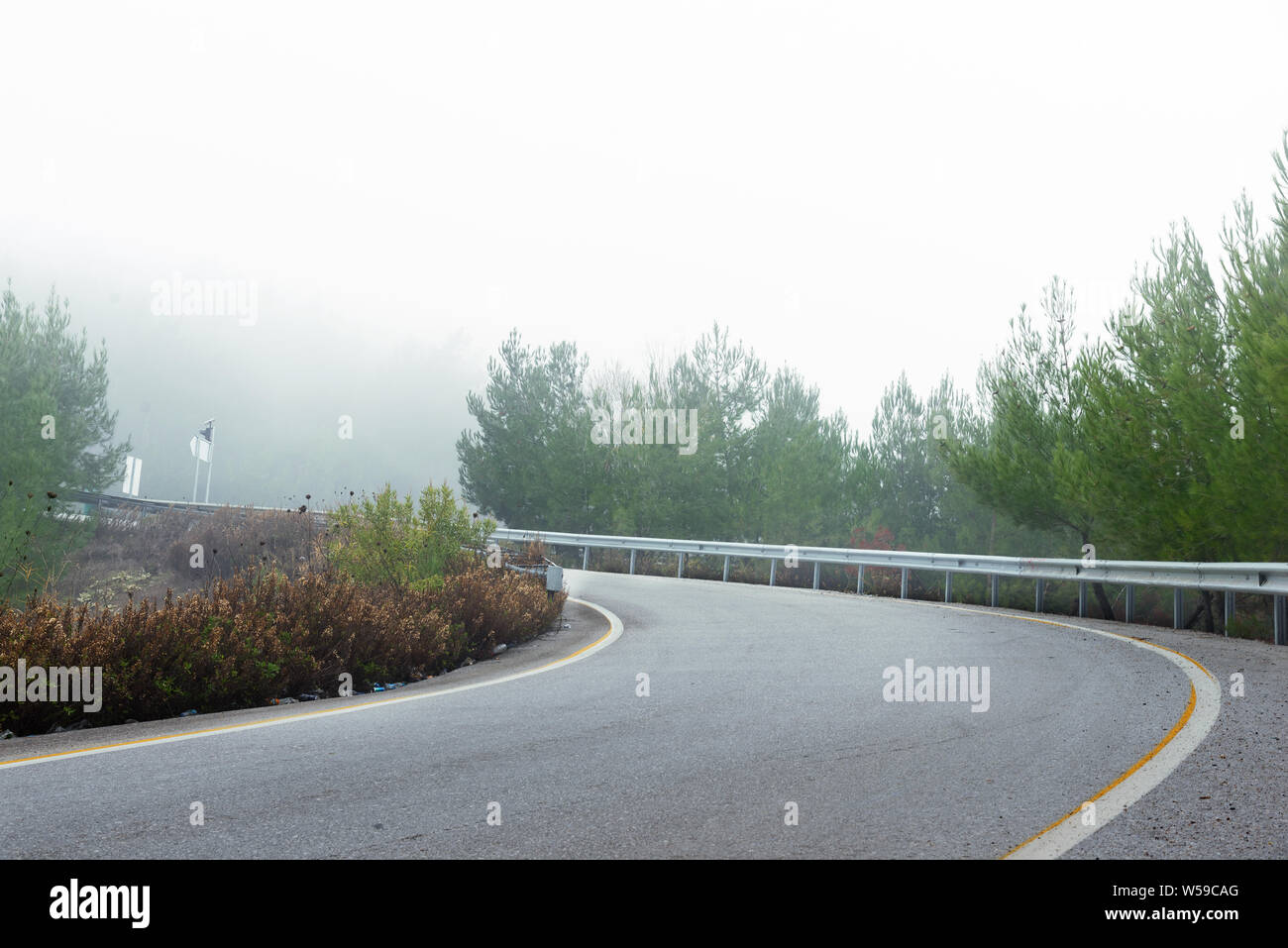 Ramp of a road with bending in a foggy day with pine trees Stock Photo ...