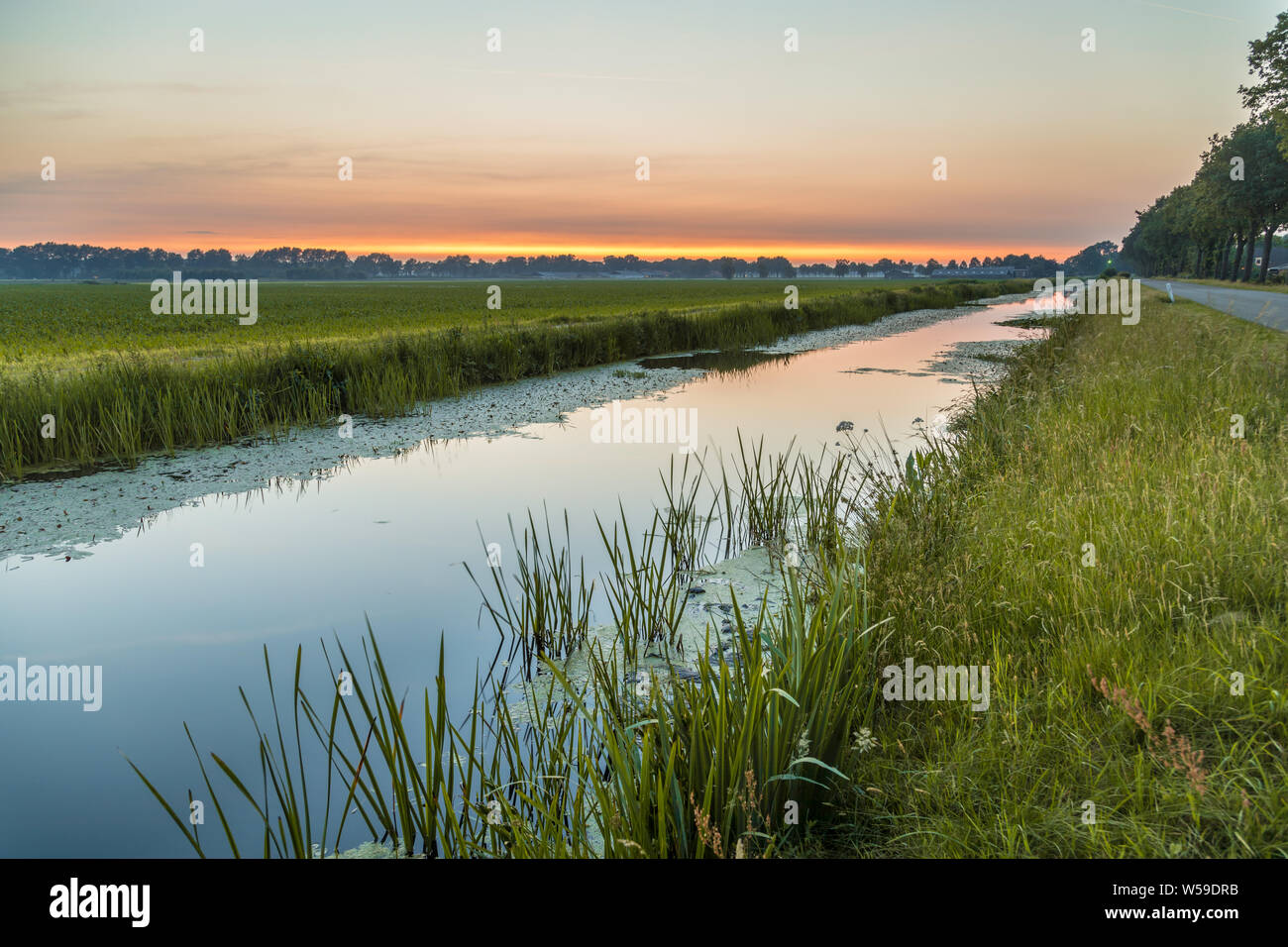 Netherlands open polder landscape with canal and open grassland ...