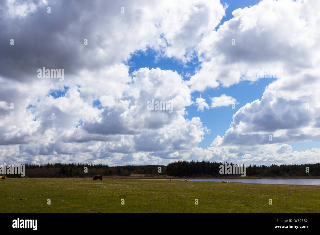 Marbek lake north of Esbjerg, Jutland, Denmark Stock Photo - Alamy