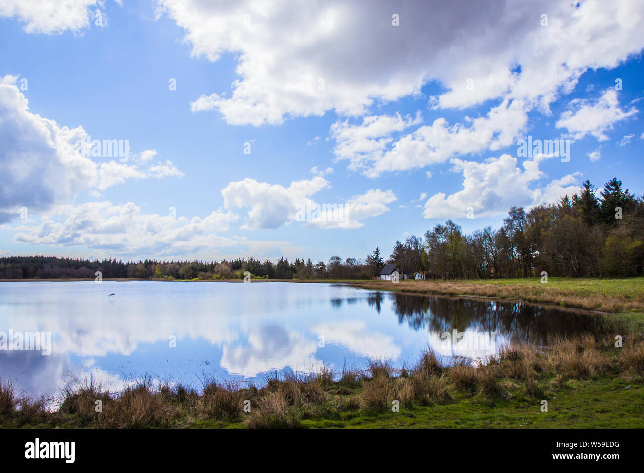 Denmark pond lake hi-res stock photography and images - Alamy