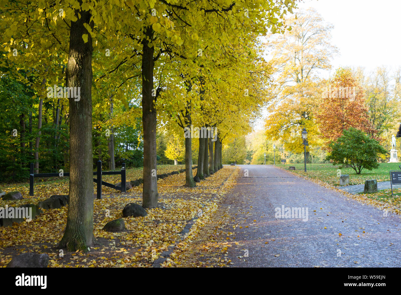 road through an autumn forest in Copenhagen, Denmark Stock Photo - Alamy