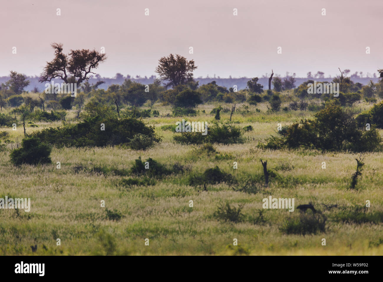 Plain area hi-res stock photography and images - Alamy