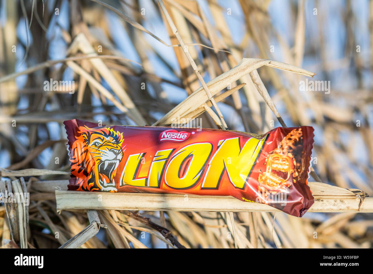 Lion chocolate bar manufactured by Nestle Stock Photo - Alamy