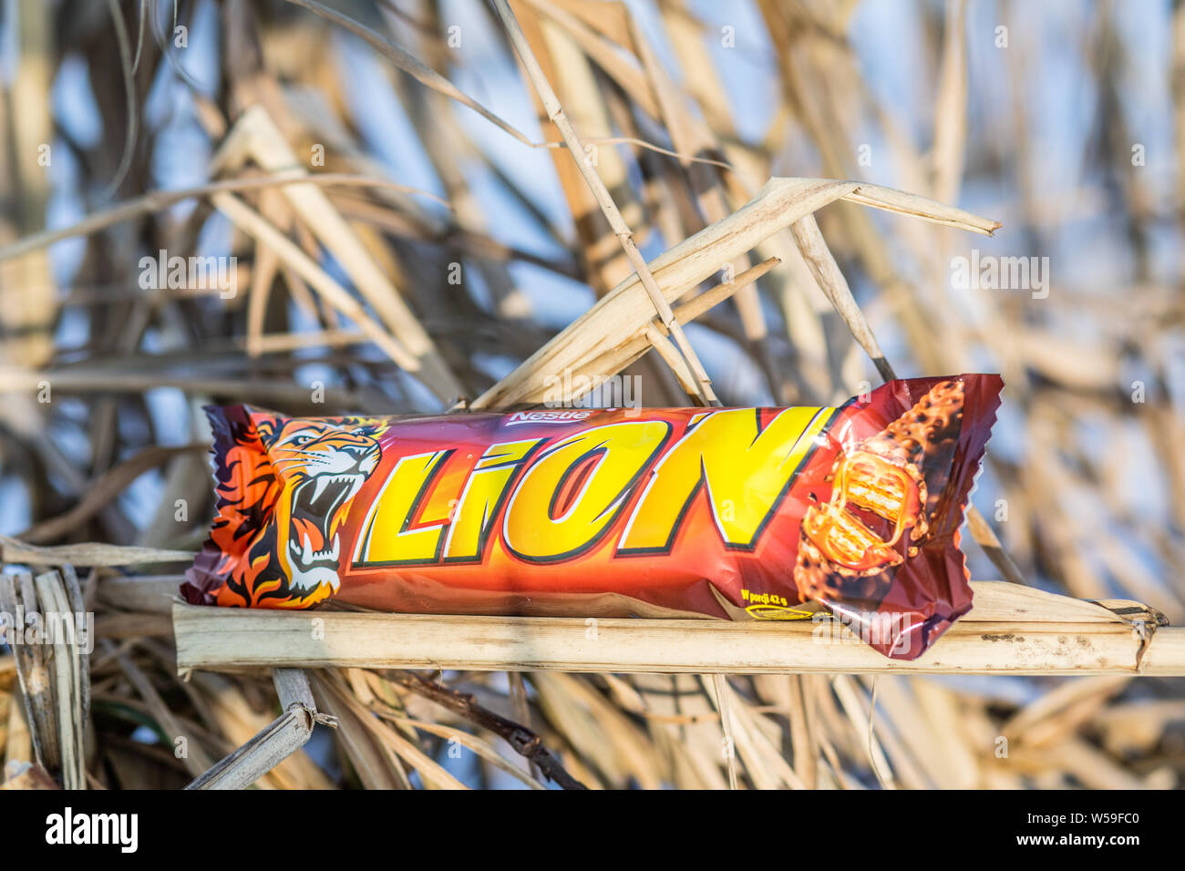 Lion chocolate bar manufactured by Nestle Stock Photo - Alamy