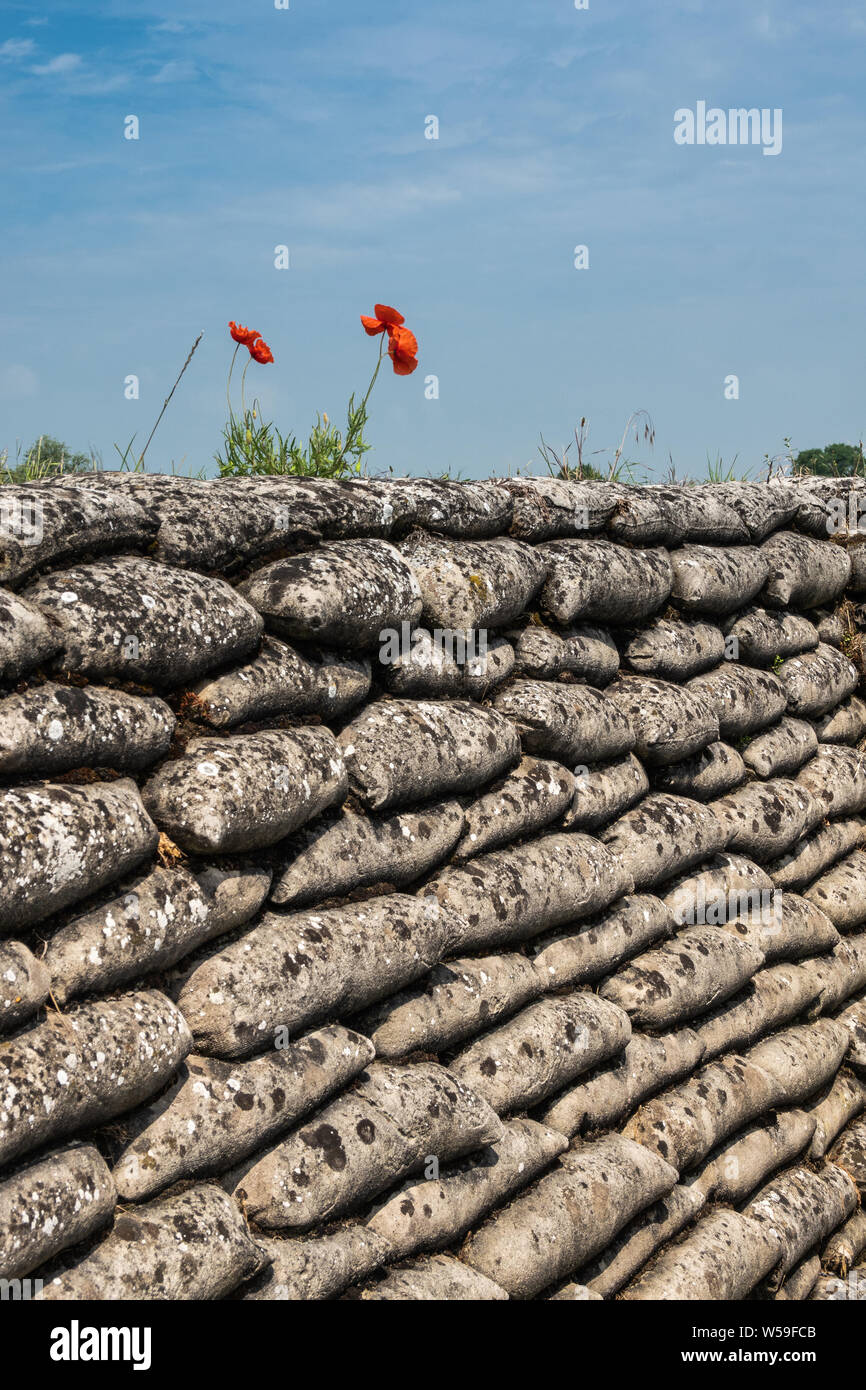 Diksmuide, Flanders, Belgium - June 19, 2019: Historic WW1 Trenches ...