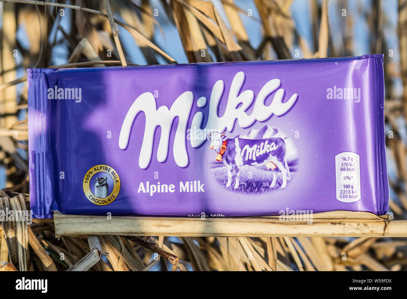 Purple Cow Milk