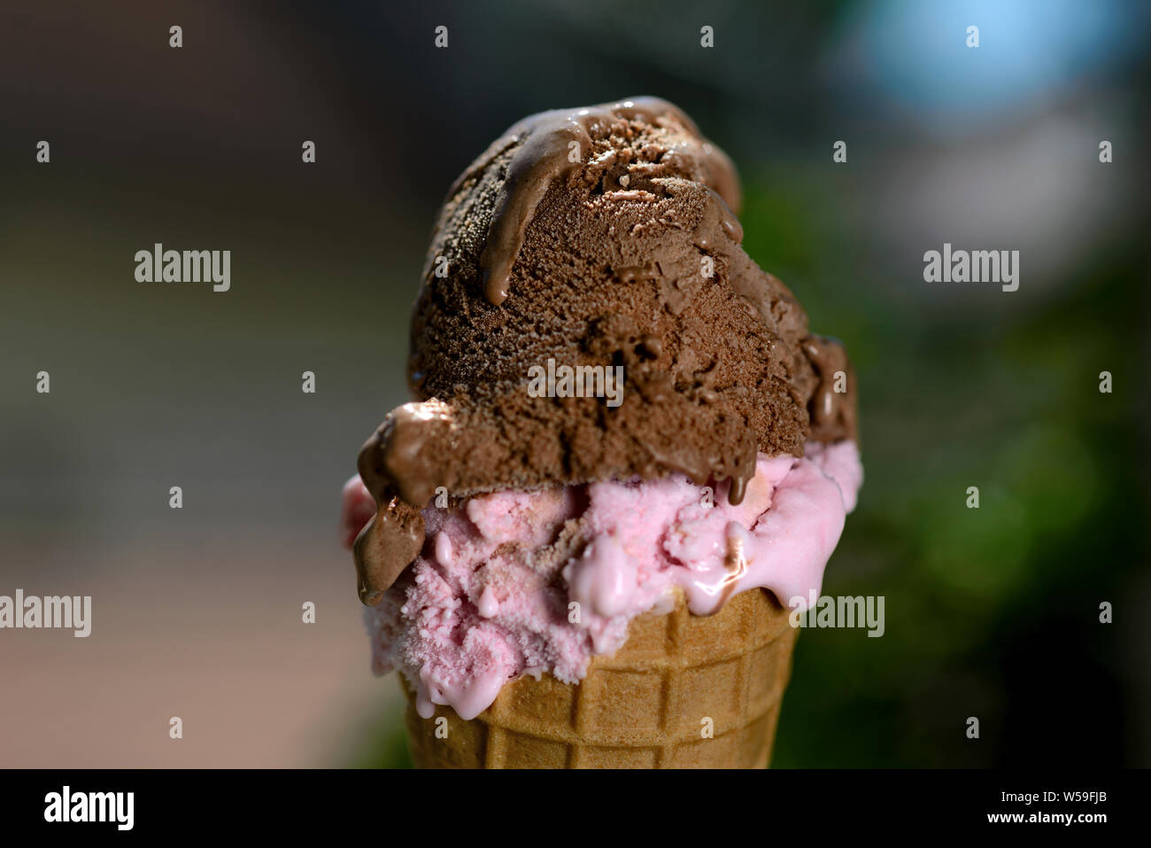 Ice-cream scoops cone cornet at hot summer heat day sunlight Stock ...