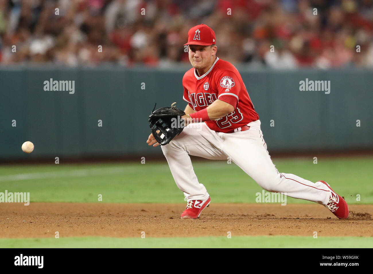 Matt sharp hi-res stock photography and images - Alamy