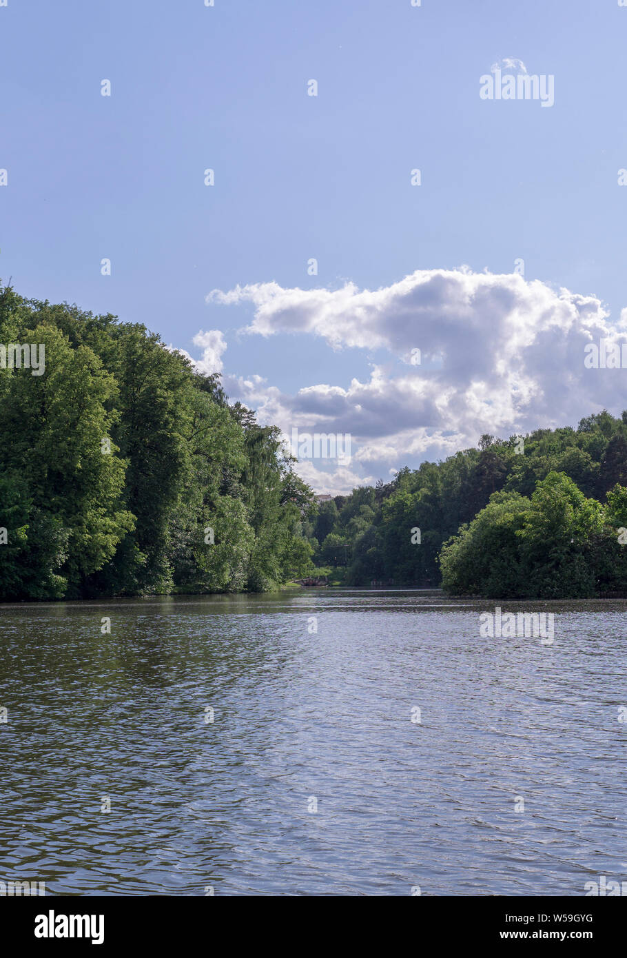 pure lake in the forest at sunny summer day. nature, seasons Stock ...