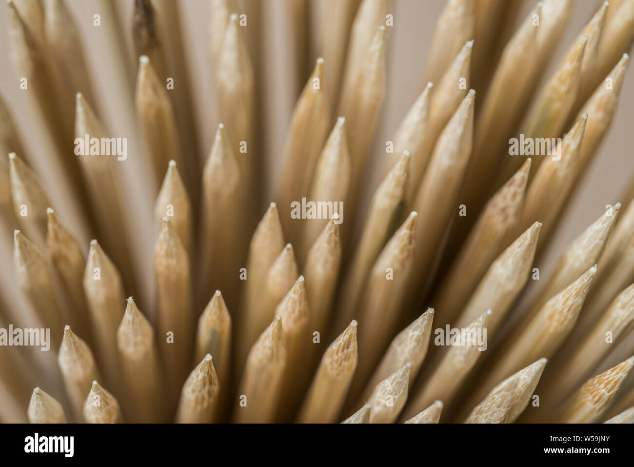 Sharp wood stick hi-res stock photography and images - Alamy