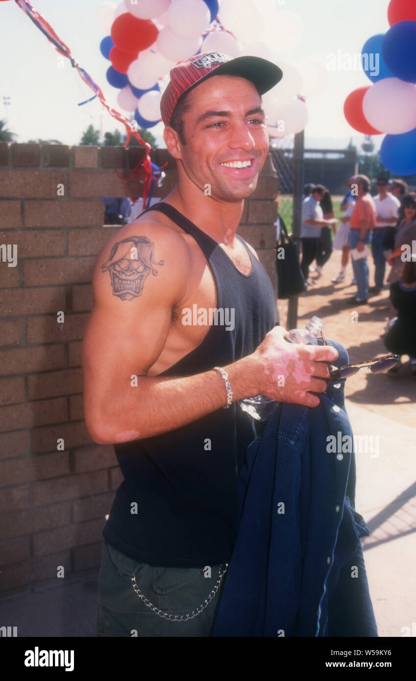 Joe rogan hi-res stock photography and images - Alamy