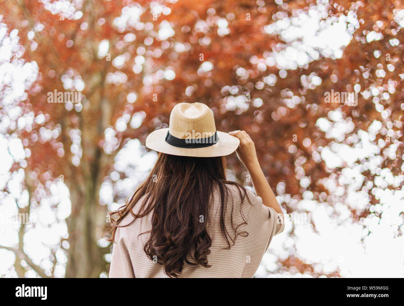 Beautiful girl freedom happy tourist hi-res stock photography and ...